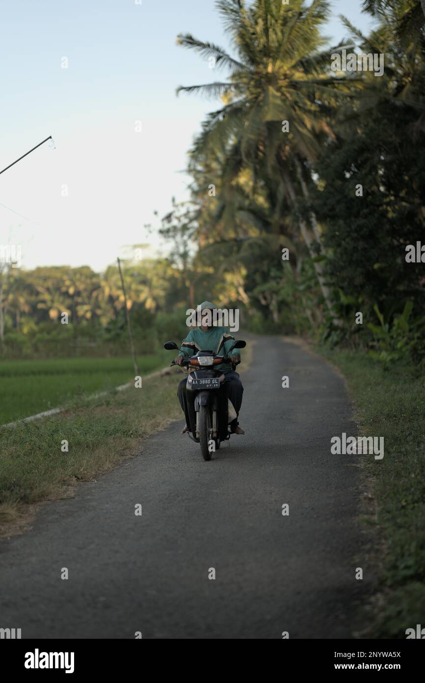 Farmer ride a motorcycle, rice terrace, bali, indonesia Stock Photo - Alamy