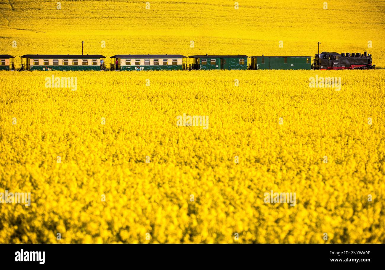 In this May 18, 2017 photo a steam engine 99 1782-4 built in 1953 makes ...