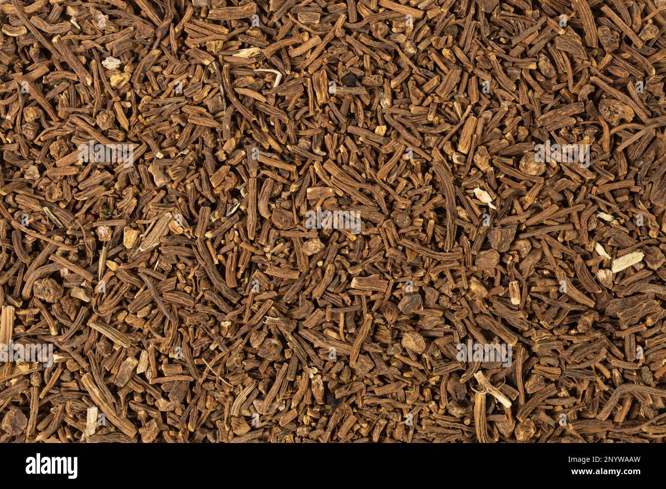 Valerian herb root background. Macro photo. Close up. Shallow depth of ...