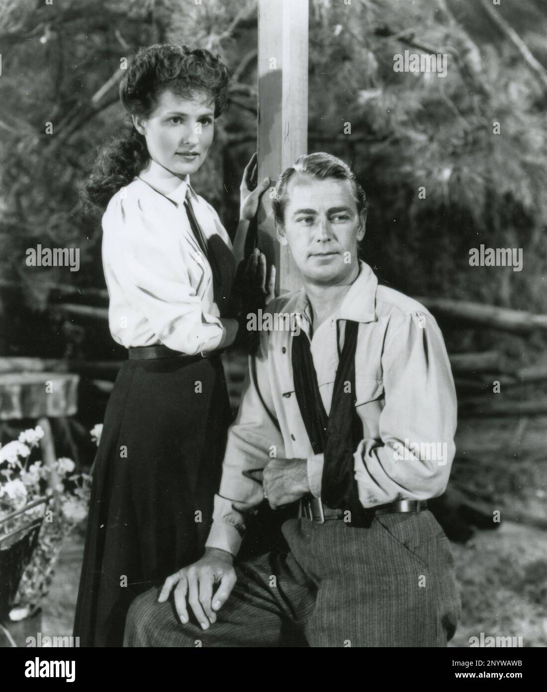 Brenda Marshall Movies