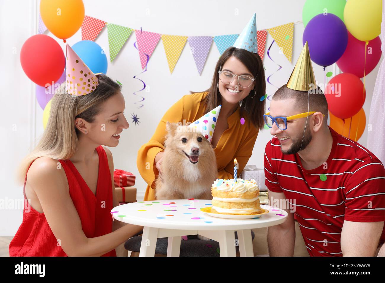 Birthday celebration with pets hi-res stock photography and images - Alamy