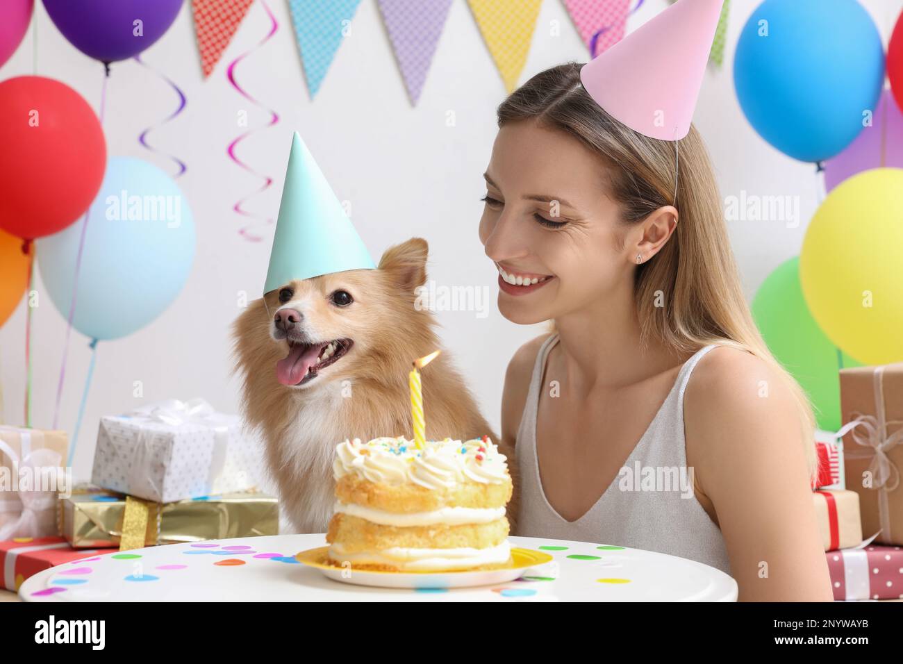 Birthday celebration with pets hi-res stock photography and images - Alamy