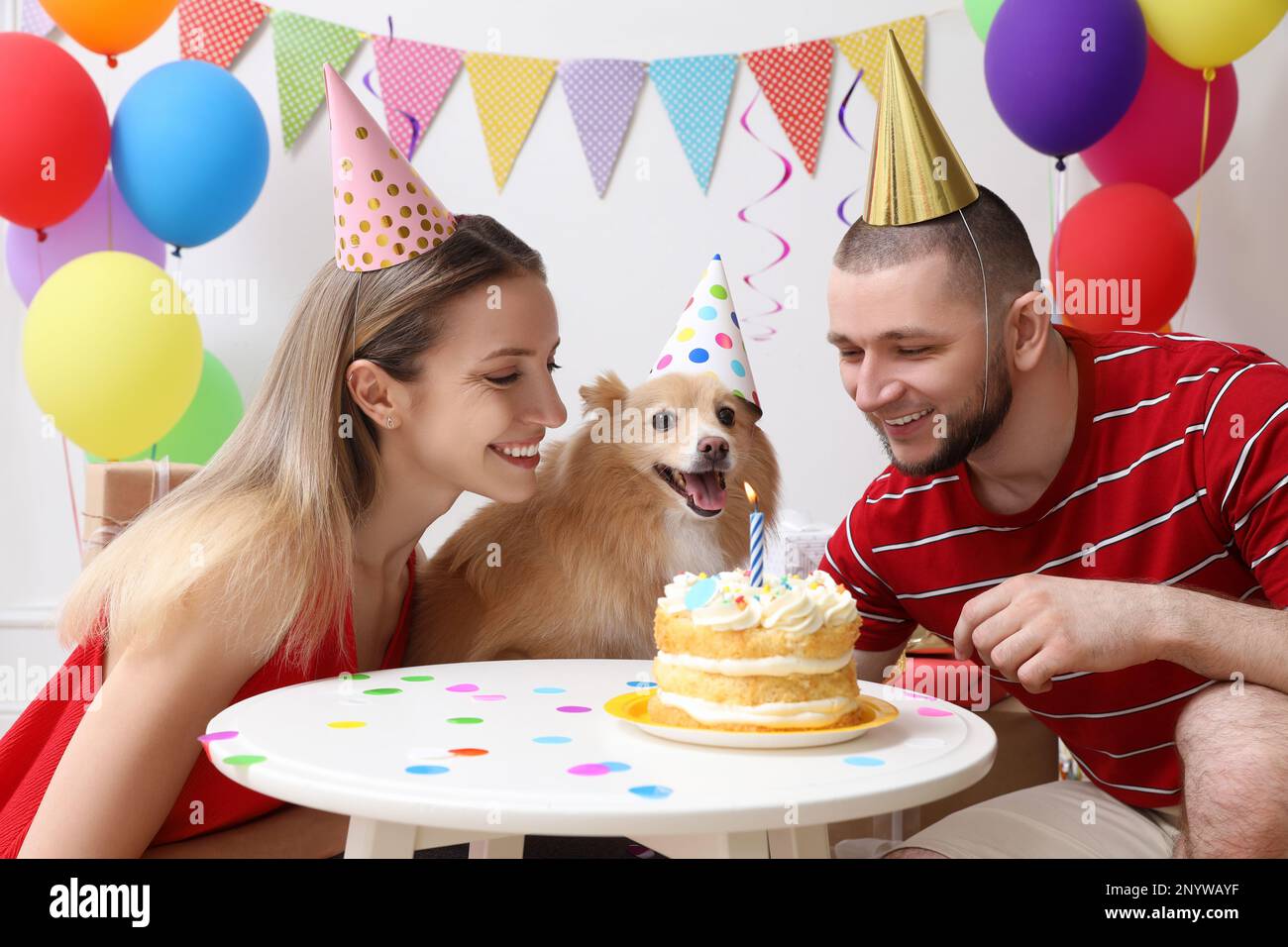 Birthday celebration with pets hi-res stock photography and images - Alamy