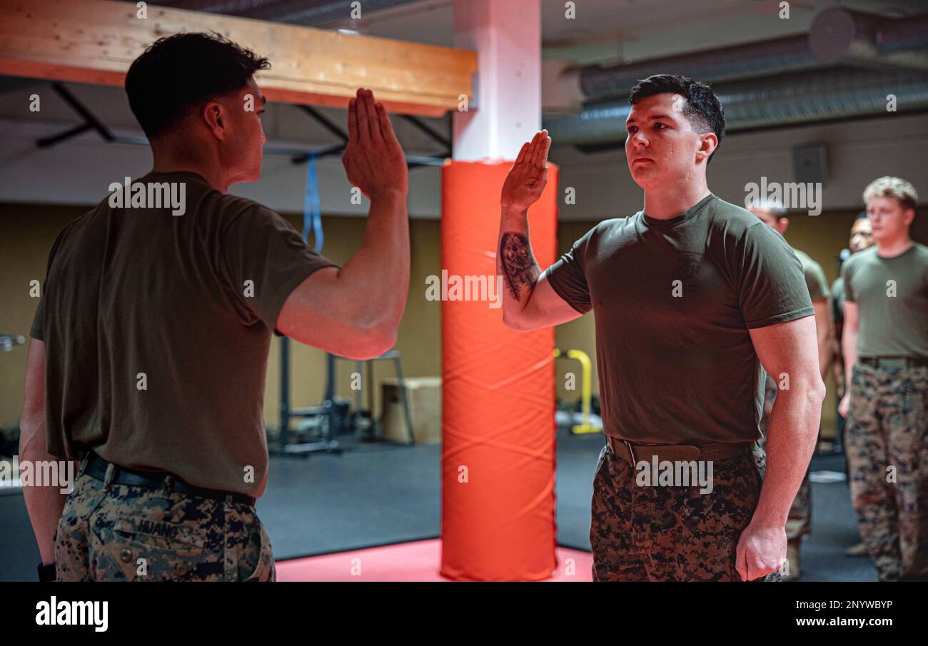 U.S. Marine Corps Capt. Nicholas Huang, a company commander with 2d ...