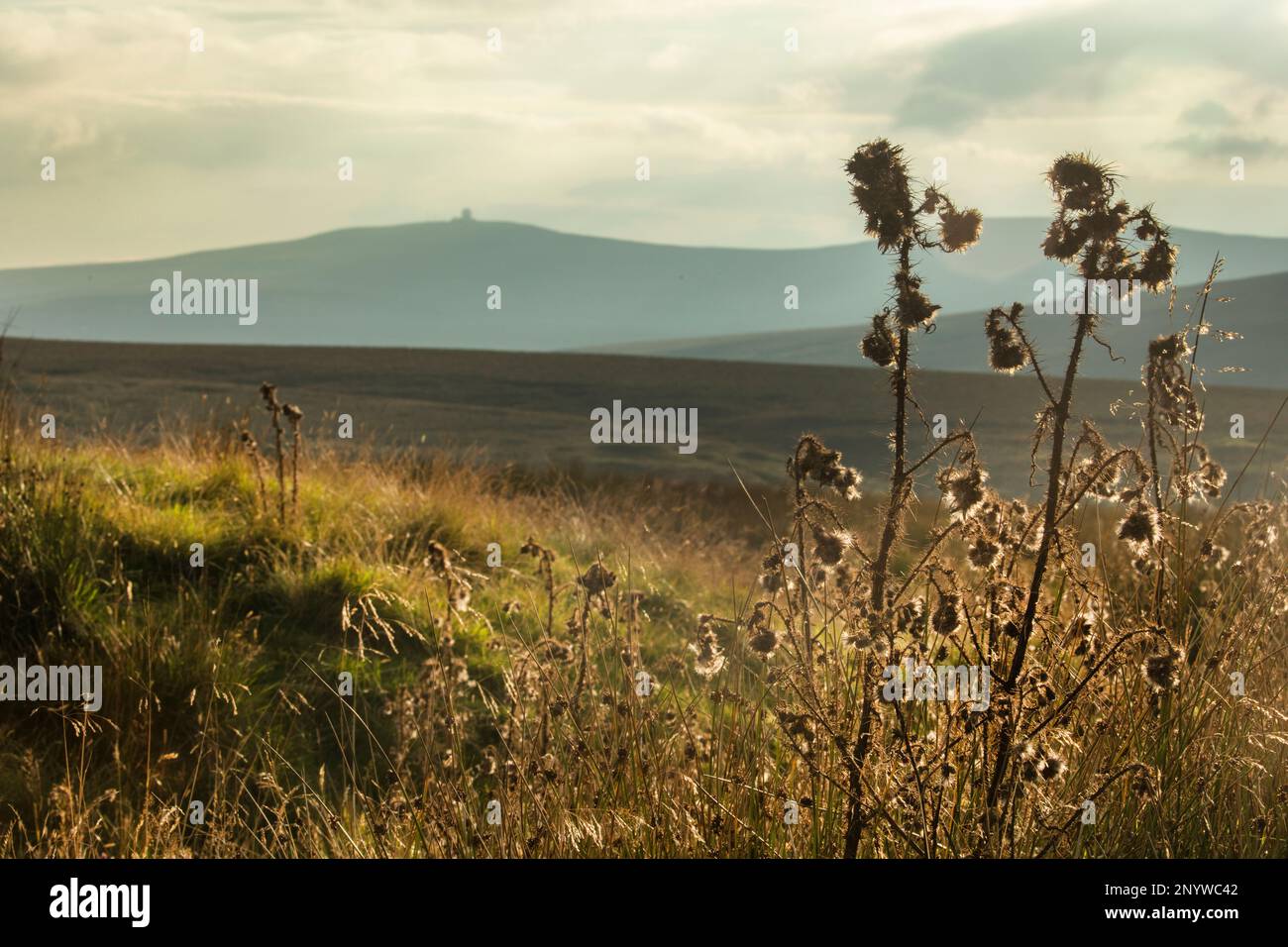 Great Dun Fell and radar station seen from Yad Moss across the Upper ...