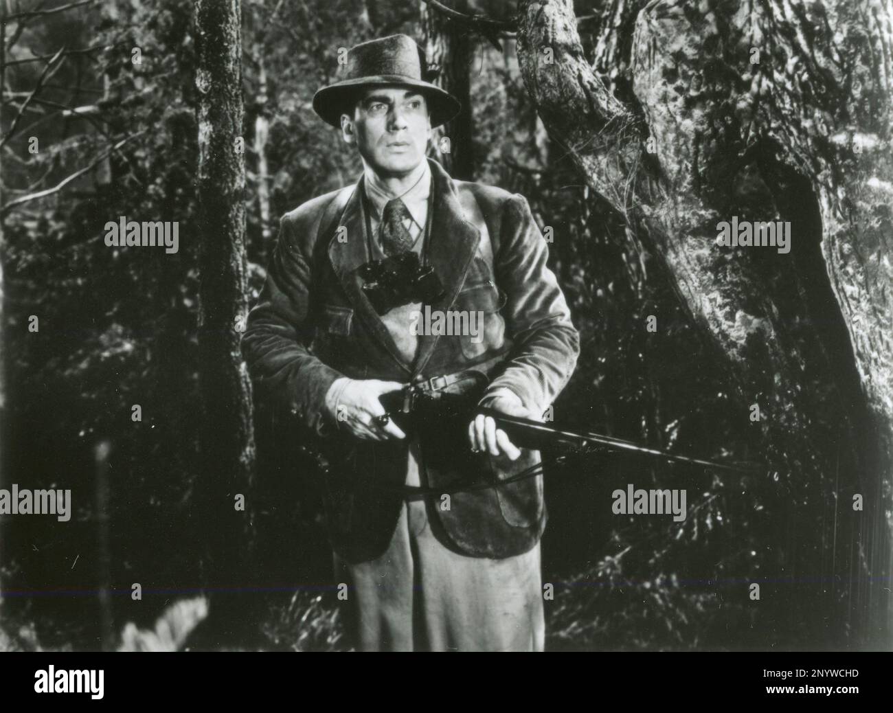 Canadian-American actor Walter Pidgeon in the movie Man Hunt, USA 1941 ...