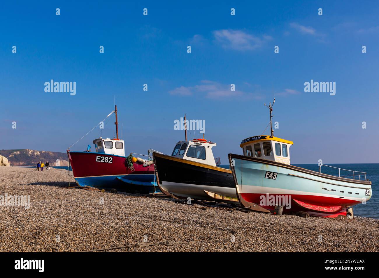 Beer, Devon, UK. 2nd March 2022. UK Weather. Spring sunshine at Beer ...