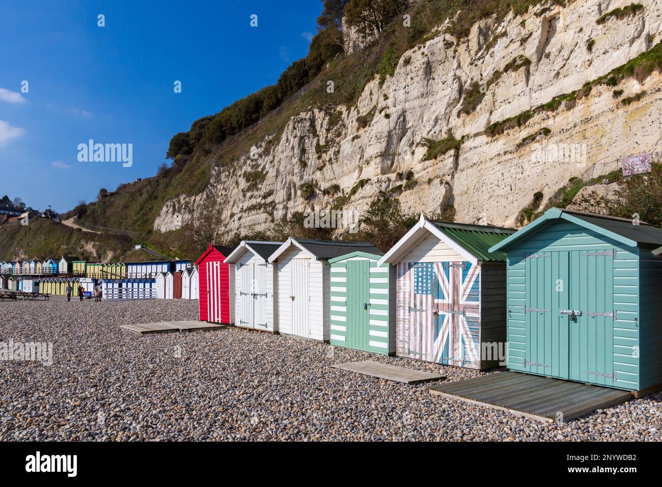 Beer, Devon, UK. 2nd March 2022. UK Weather. Spring sunshine at Beer ...