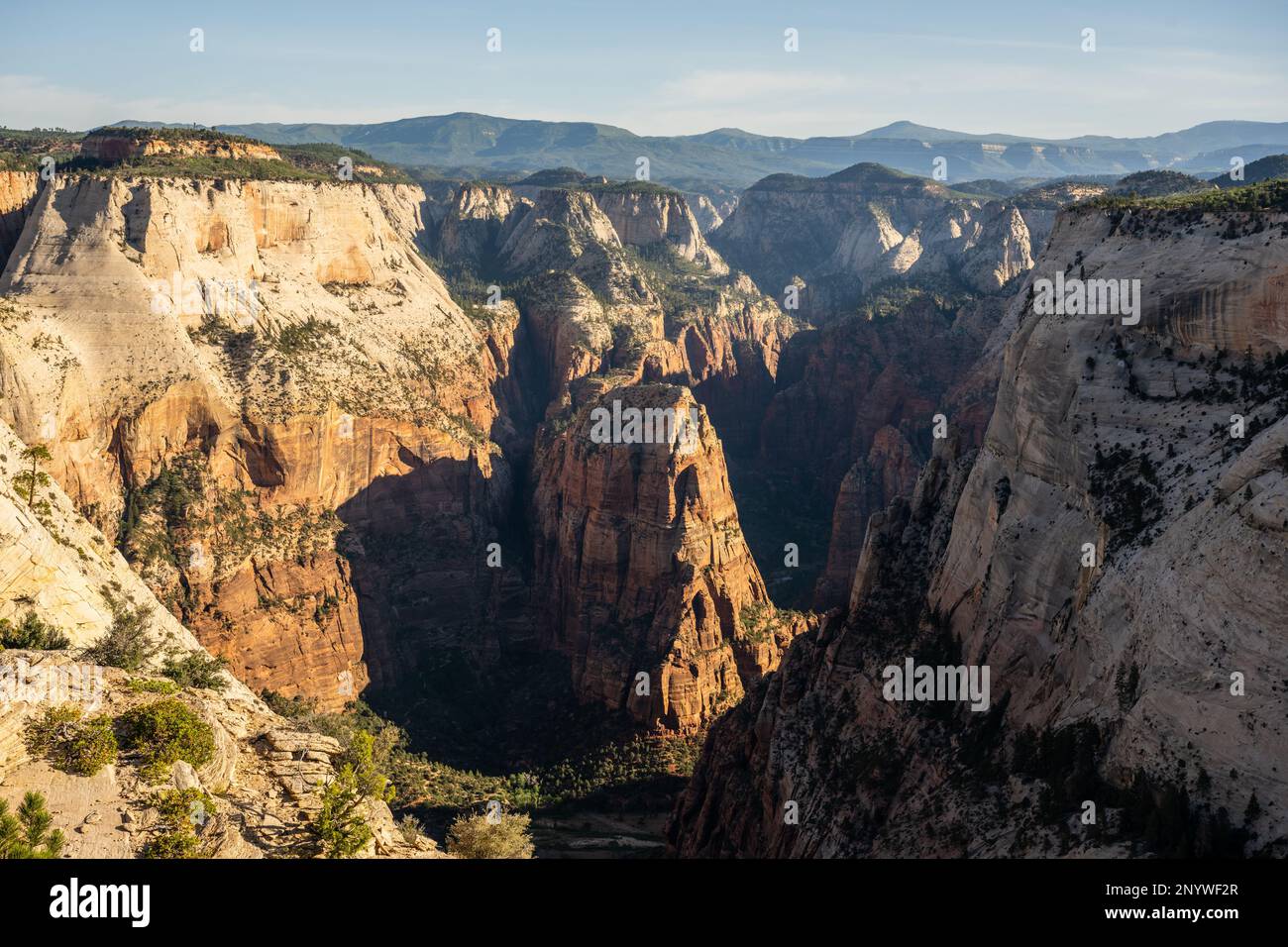 Angels Landing in the Center of Zion Canyon from Deer Trap Mountain ...