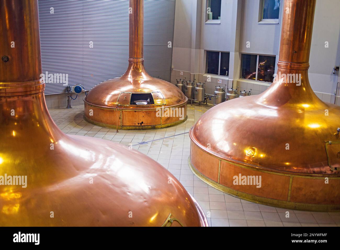 Immersion Copper Mash Tun