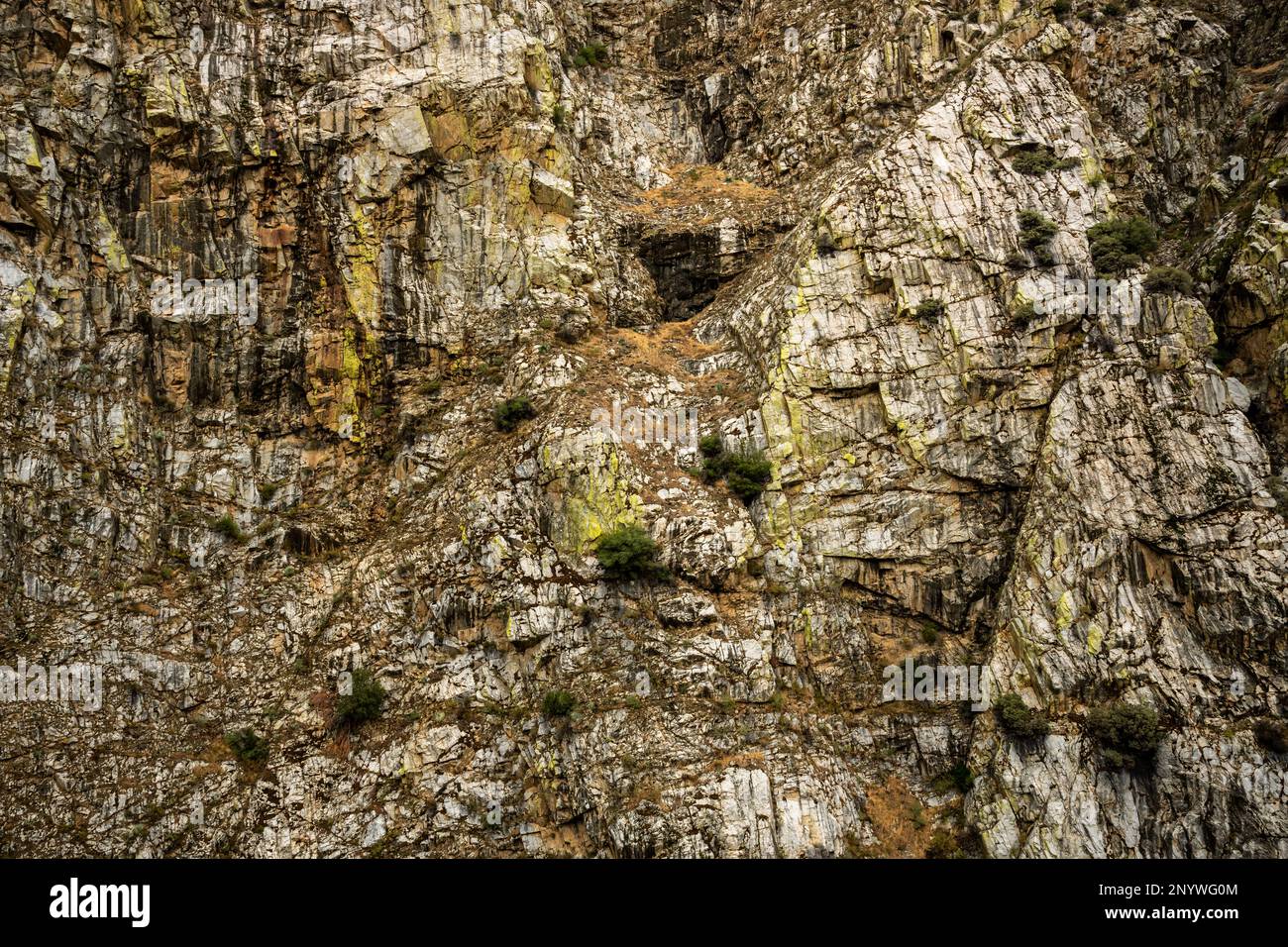 Algae and Moss Covered Cliff Walls of King Canyon National Park Stock ...