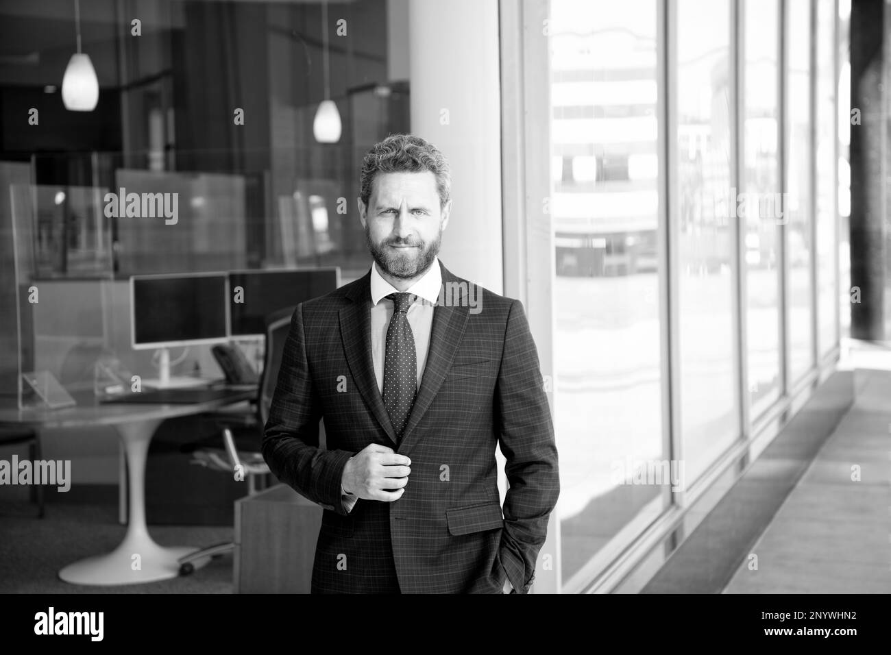 professional ceo. confident businessman wear tie. mature businessperson ...