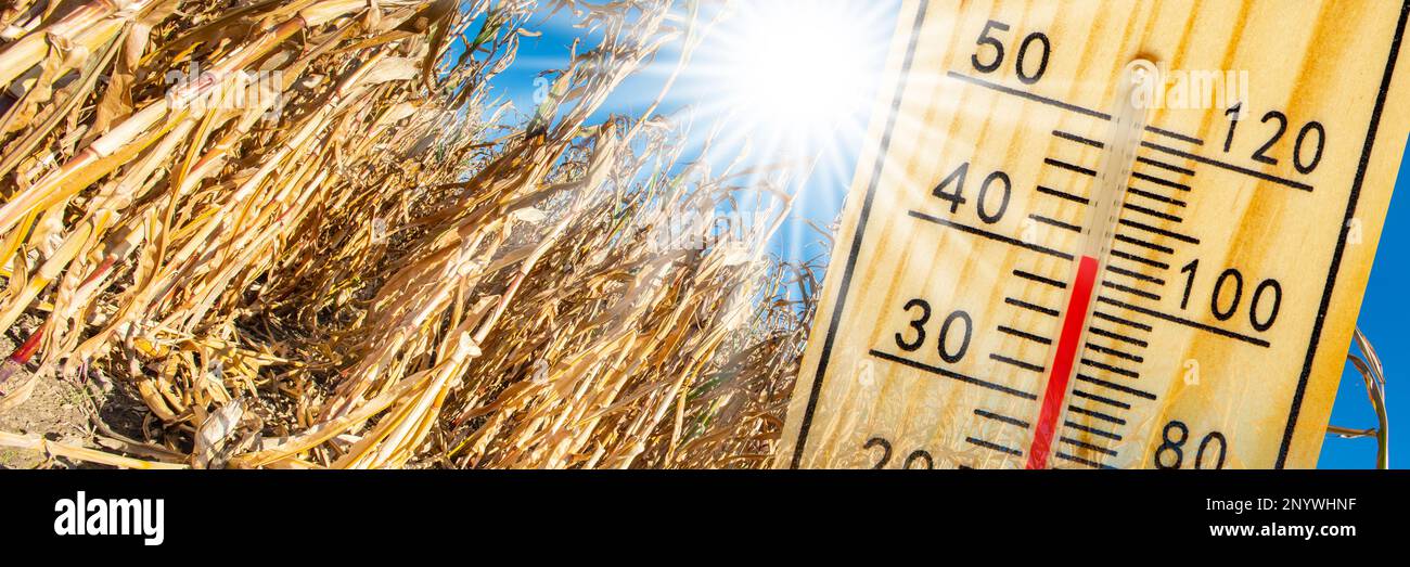 high temperature shows climate change on thermometer Stock Photo - Alamy
