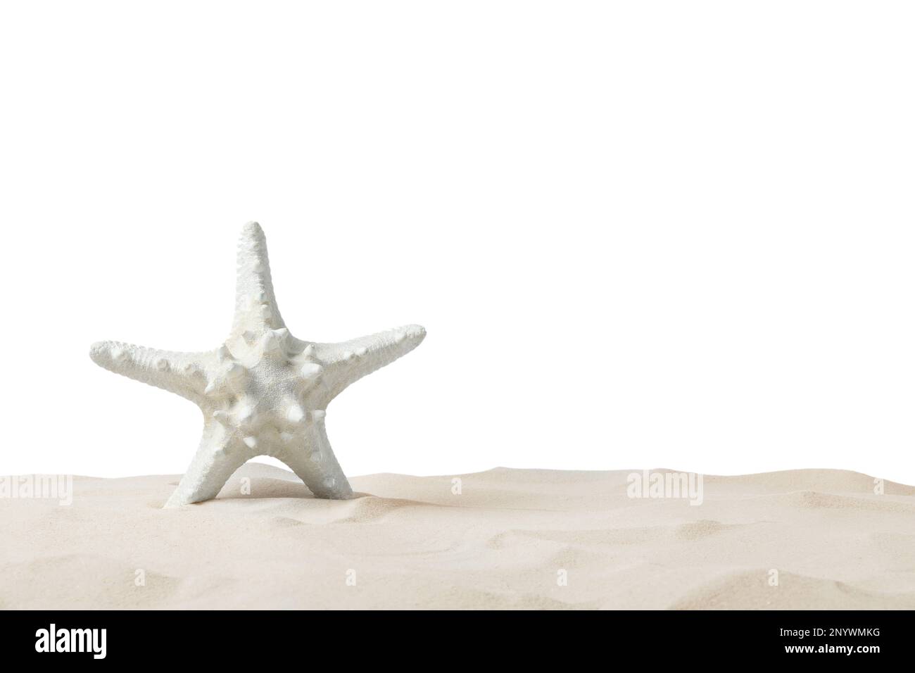 Beautiful sea star in sand on white background Stock Photo - Alamy