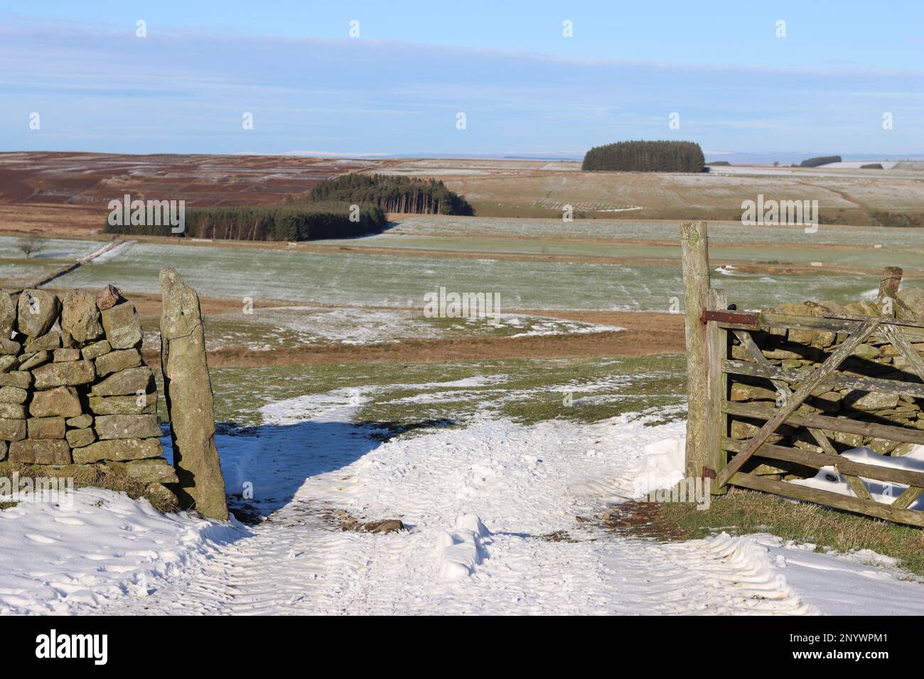 View through a field gate over frozen fields and moorland in winter sun ...