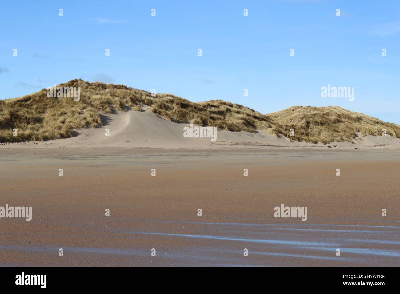 Sand dunes on a beach in sunshine against a blue sky Stock Photo - Alamy