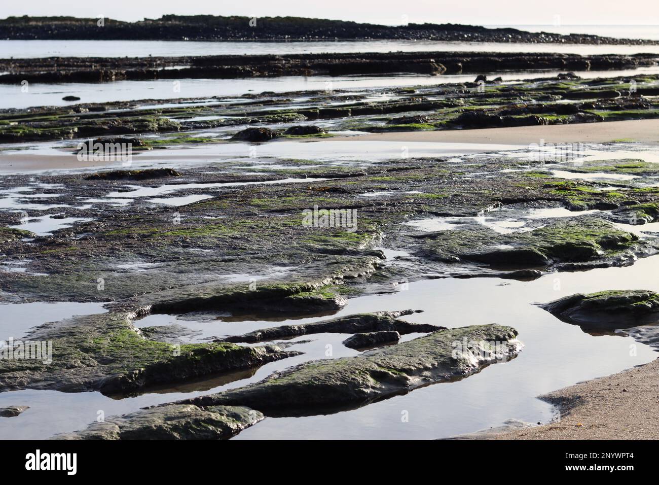 View across a layered rocky coastal shore in sunshine with glistening ...