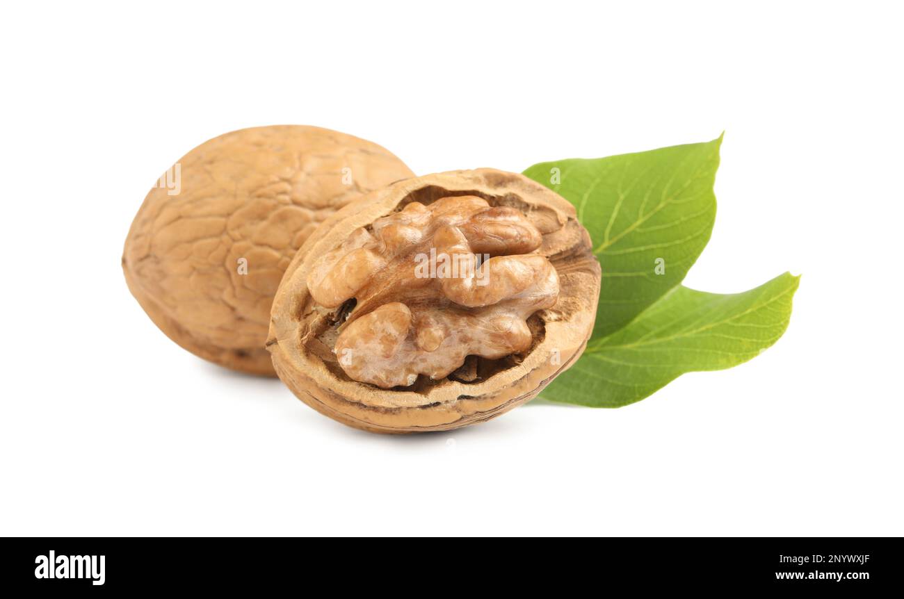 Fresh ripe walnuts with leaves on white background Stock Photo - Alamy