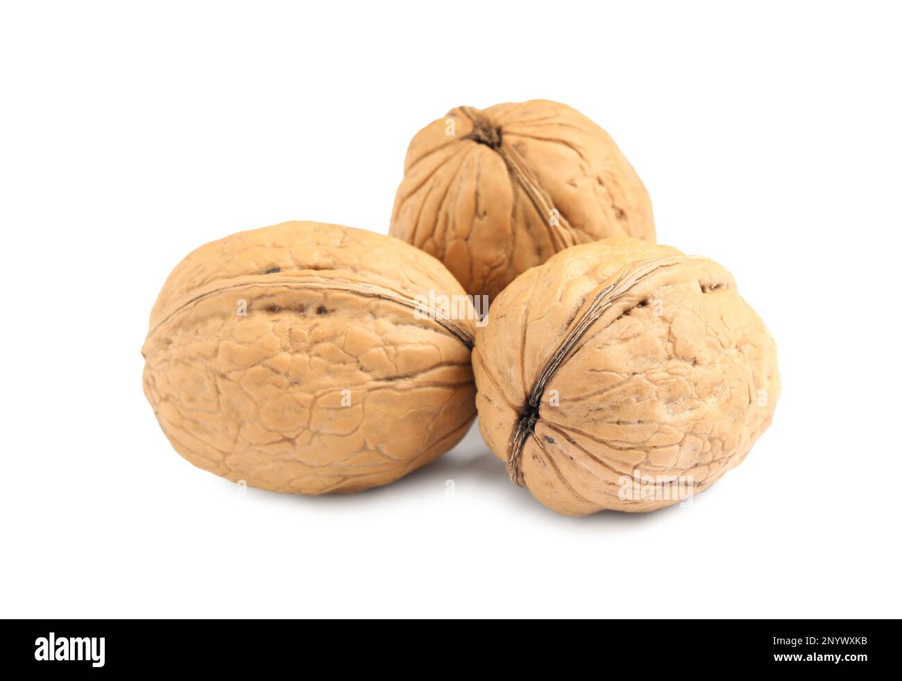 Whole walnuts in shell on white background Stock Photo - Alamy