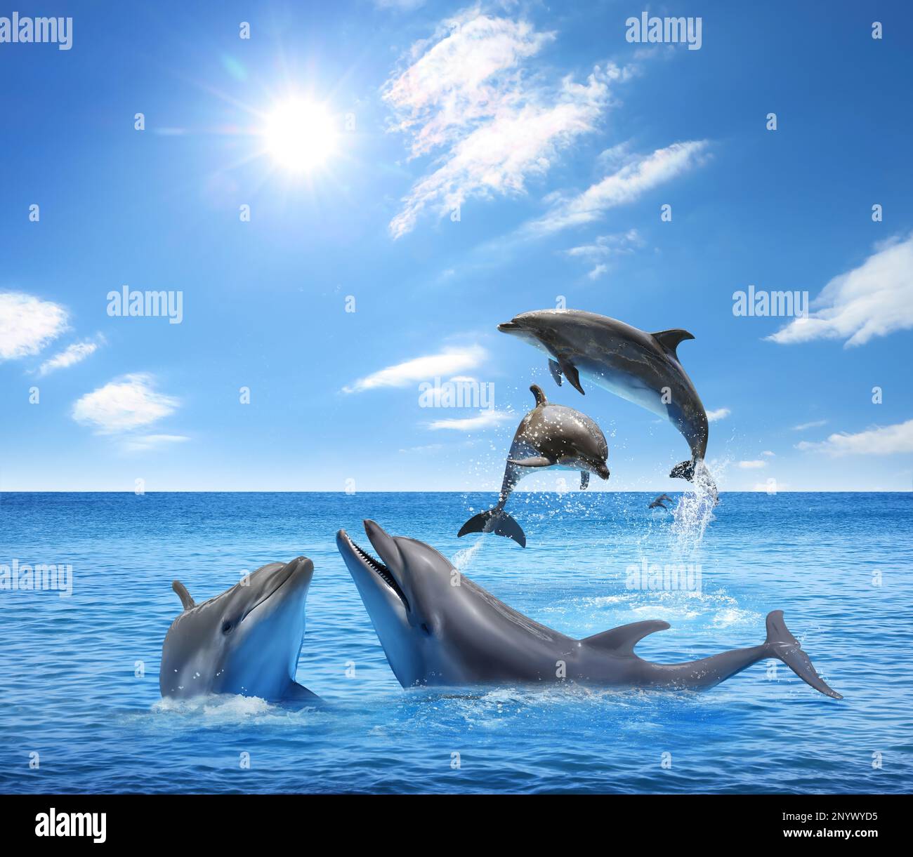 Beautiful bottlenose dolphins jumping out of sea with clear blue water ...