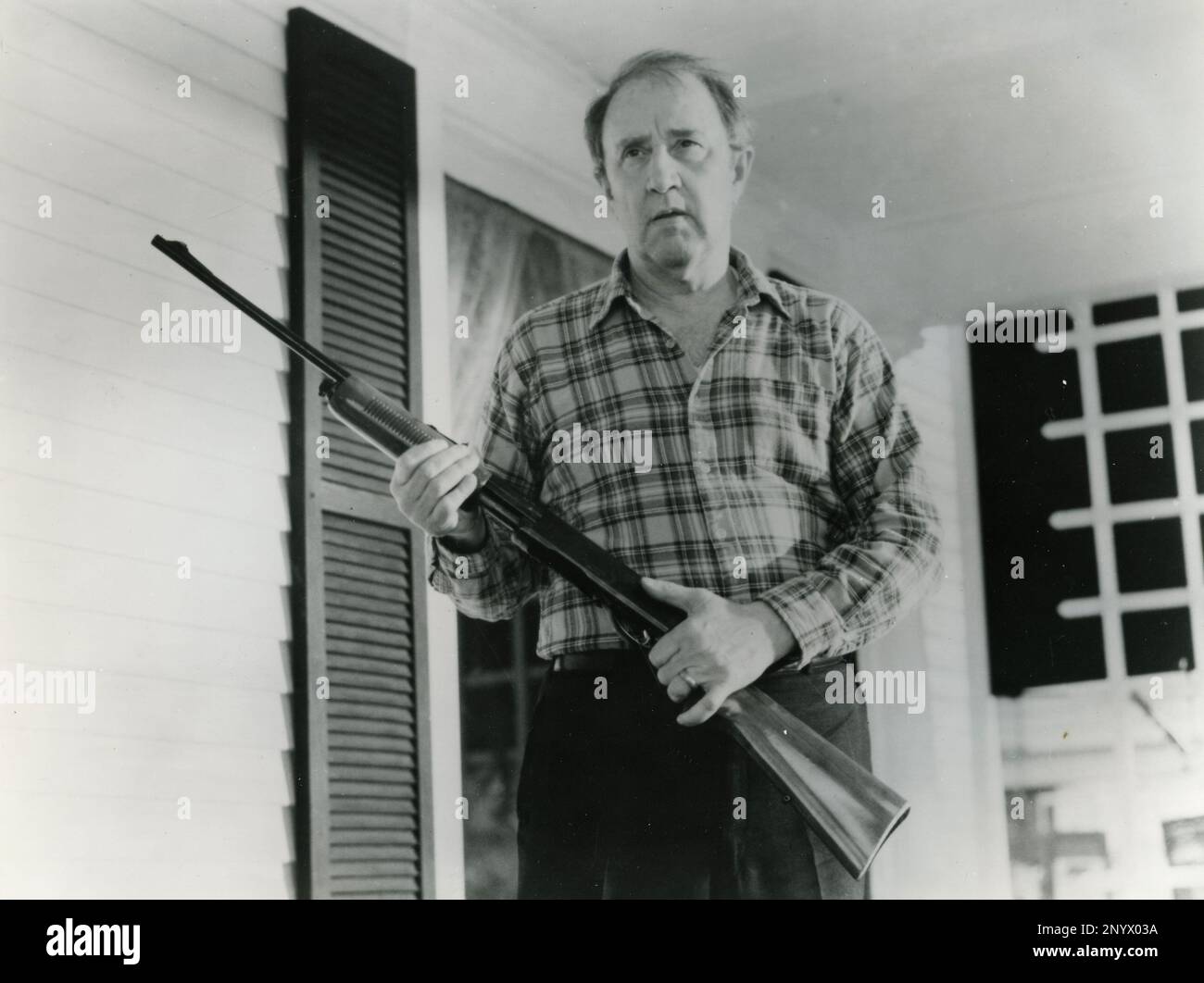 American tiger hi-res stock photography and images - Alamy