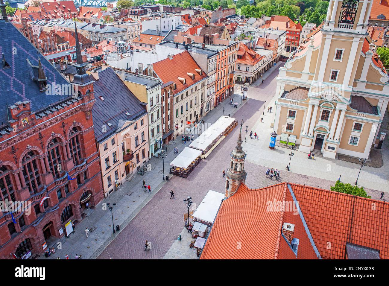 Ulica rozana hi-res stock photography and images - Alamy