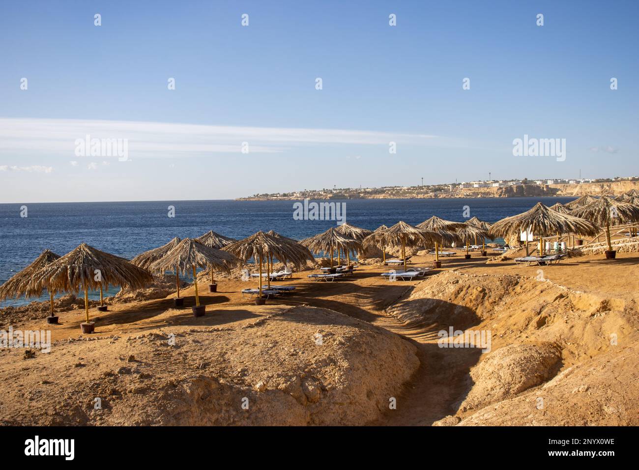 Desert coast line with dark blue water, palm trees and clear blue sky ...