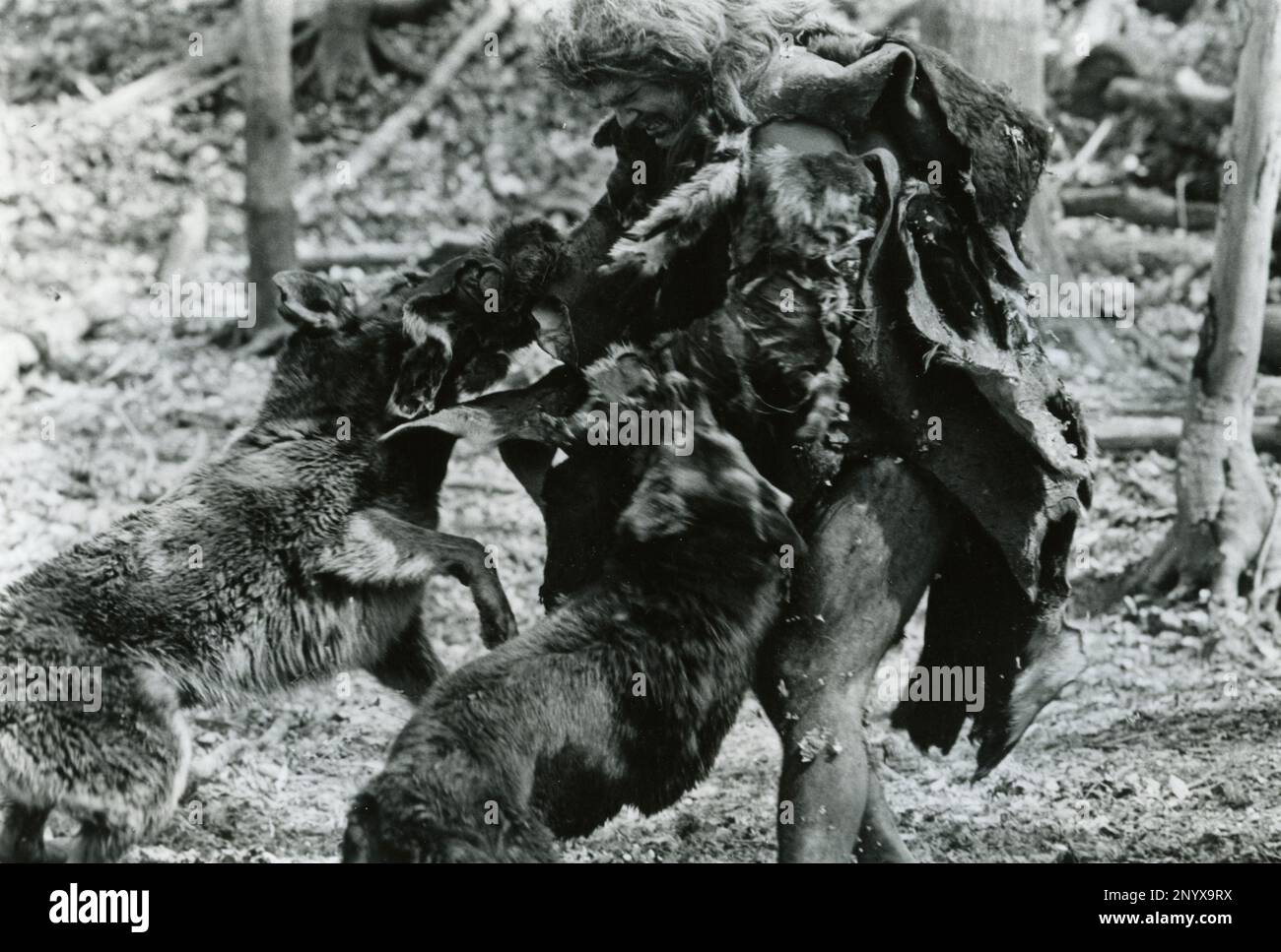 Quest fire 1981 hi-res stock photography and images - Alamy
