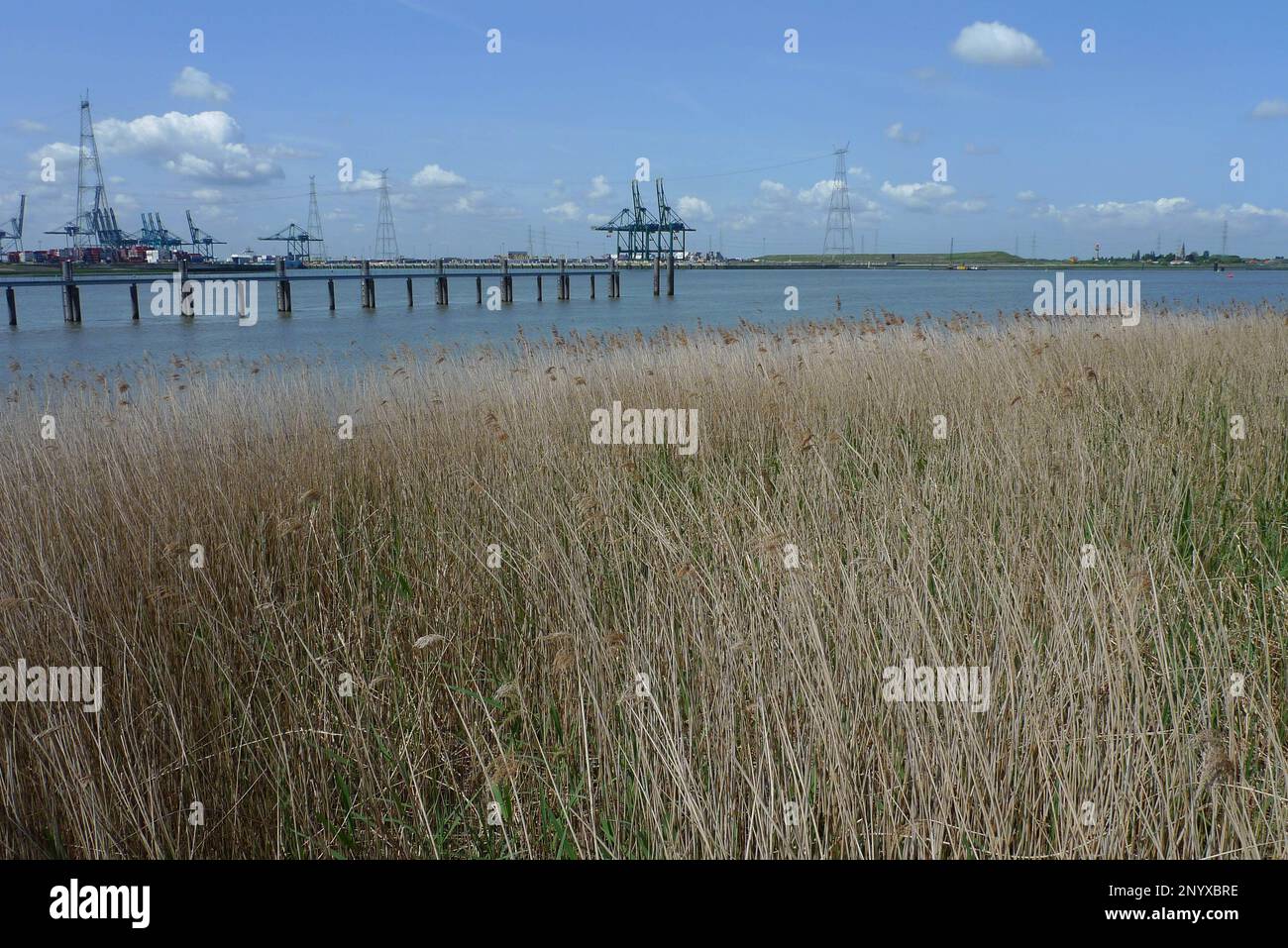 lillo village in belgium Stock Photo - Alamy