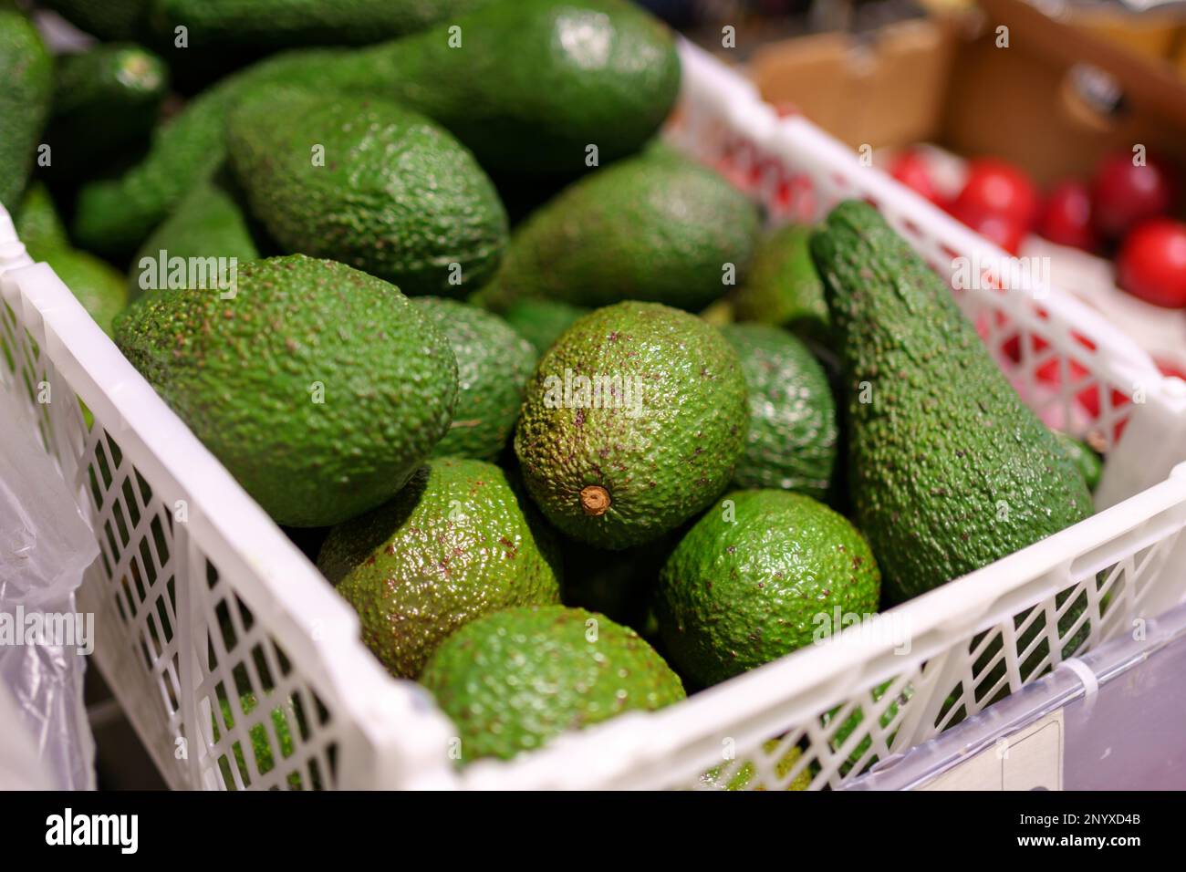 Green avocado in supermarkets fruits and vegetables aisle in a store ...