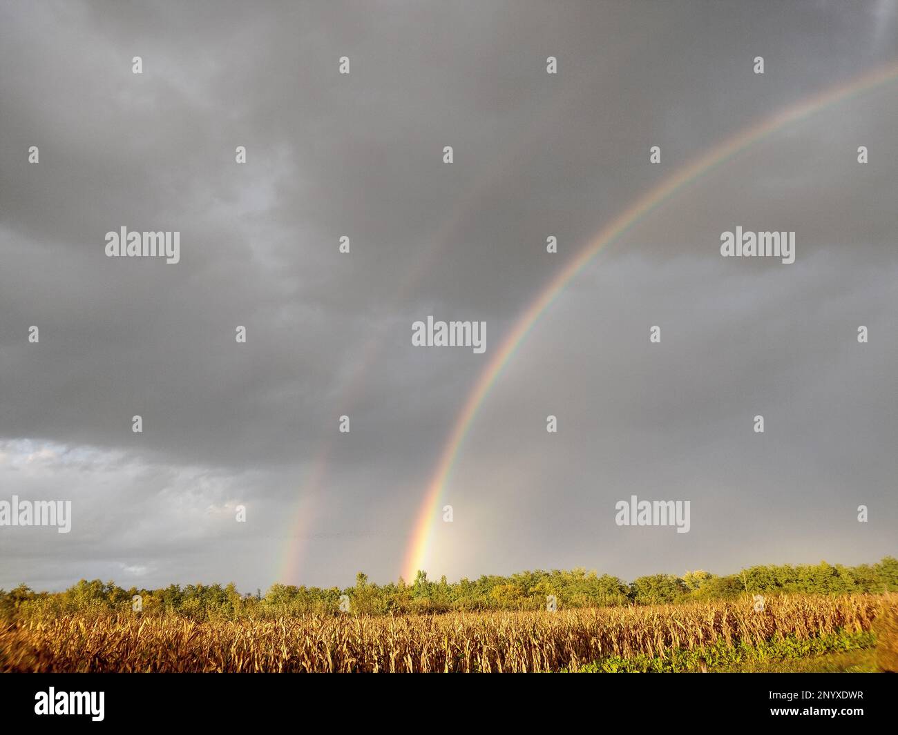 Natural rainbow after the rain in Maramures county, Romania Stock Photo ...