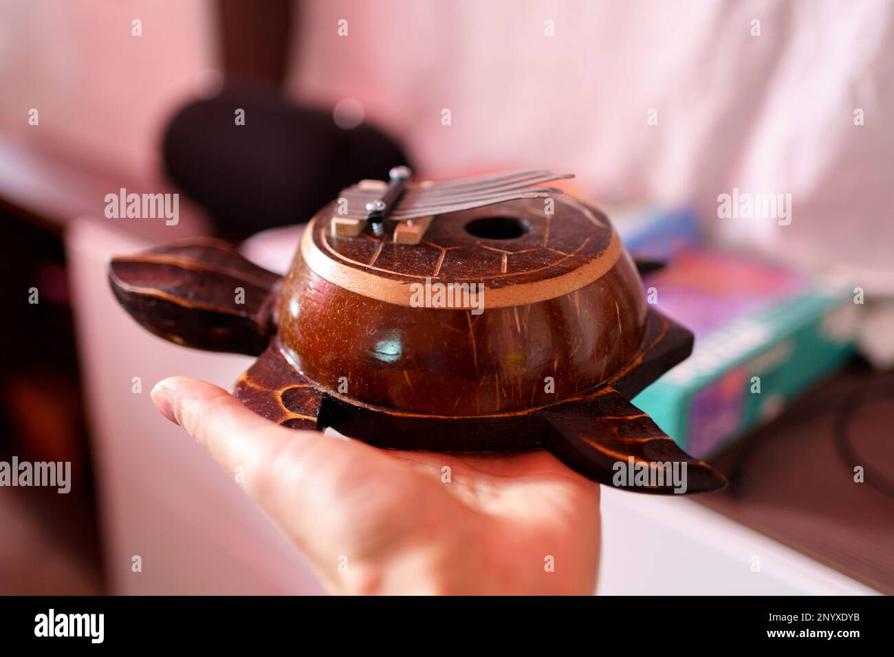 African box turtle hi-res stock photography and images - Alamy