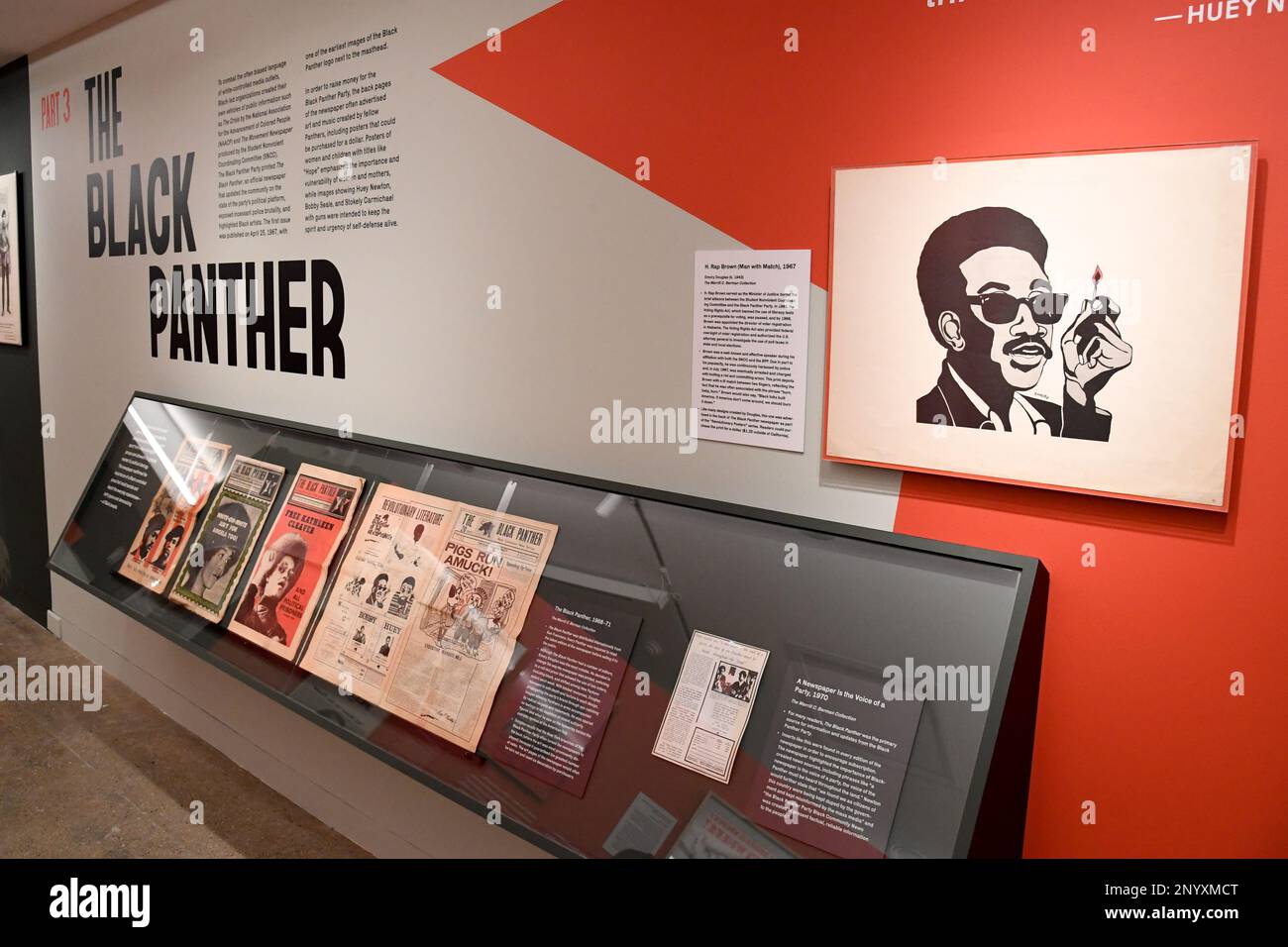 Emory Douglas All Power To The People