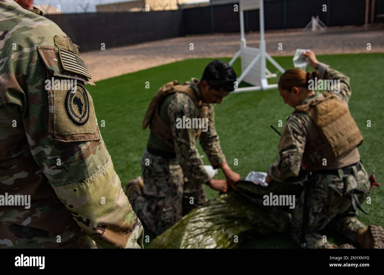 U.S. Navy security Military Working Dog (MWD) handlers perform canine ...