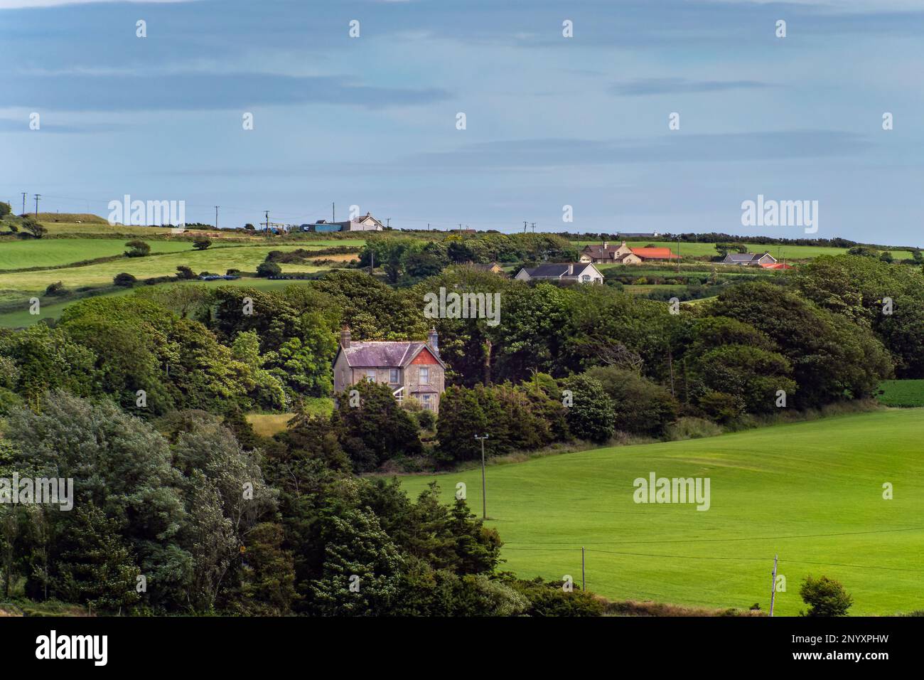 Cozy house among the trees, landscape. Green grass field near house ...