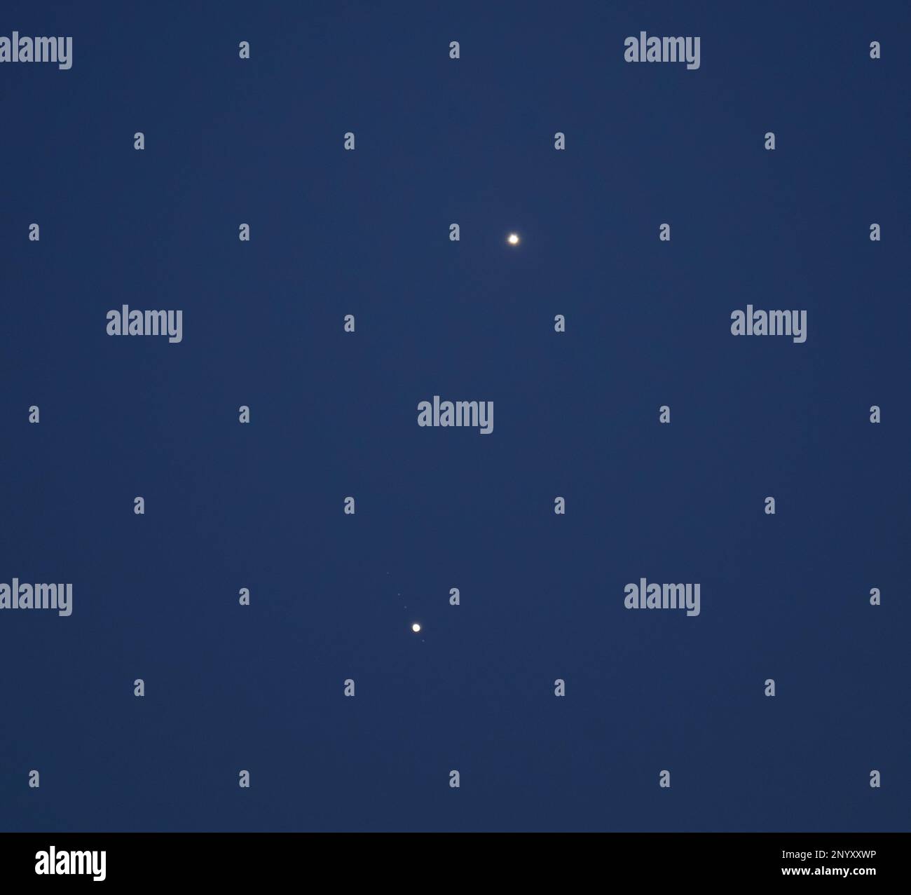 The Galilean Moons Of Venus