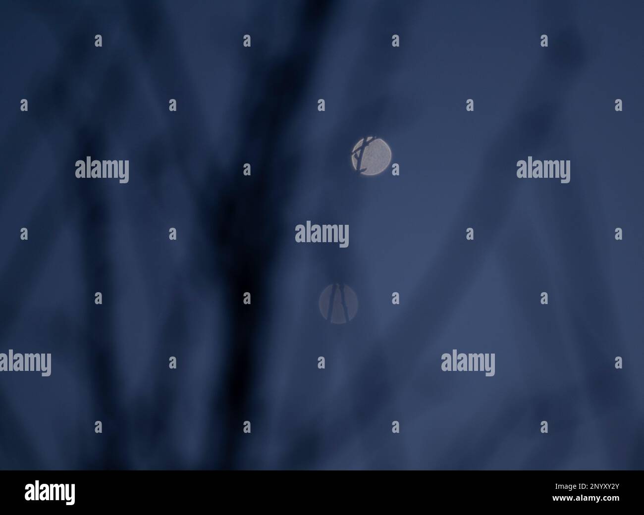 London, UK. 2 March 2023. The planet Jupiter (lower), and Venus (upper ...