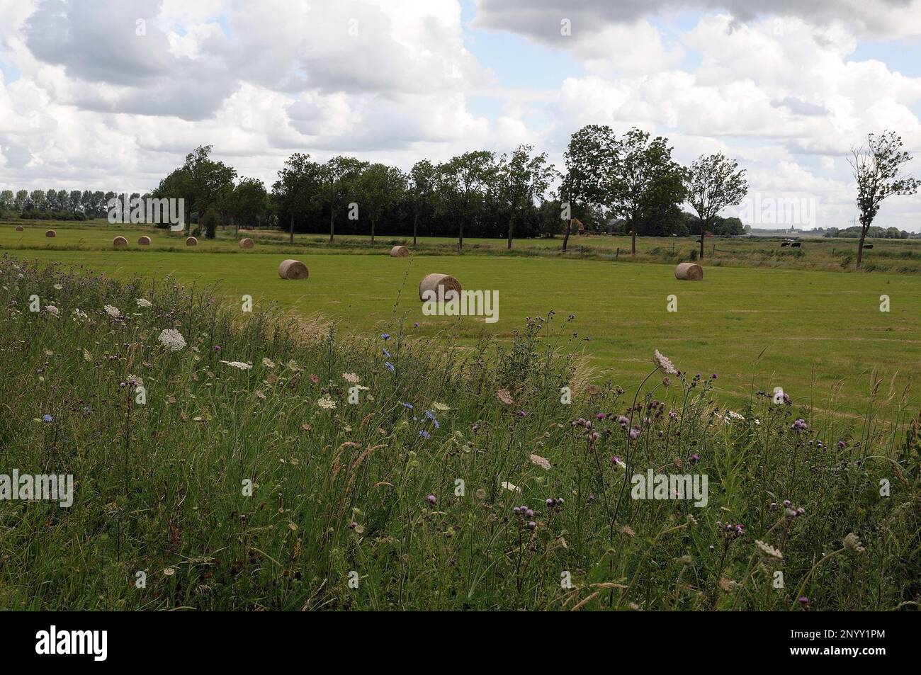 the ems river near weener in germany Stock Photo - Alamy