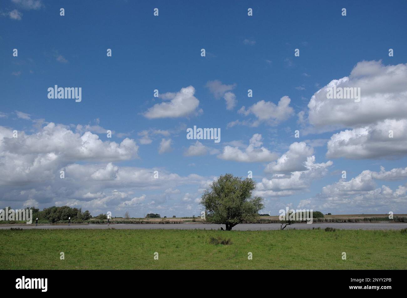 the ems river near weener in germany Stock Photo - Alamy