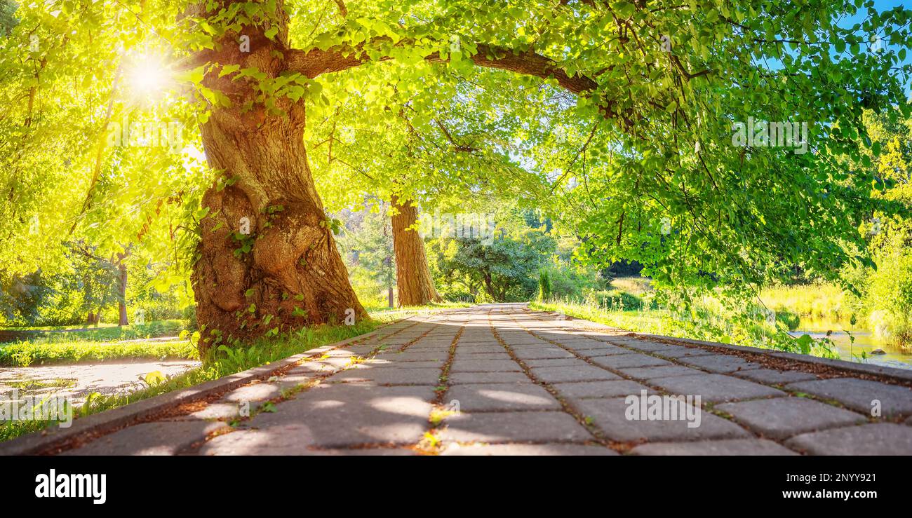 Perspective view of the stone footpath in public park Stock Photo - Alamy