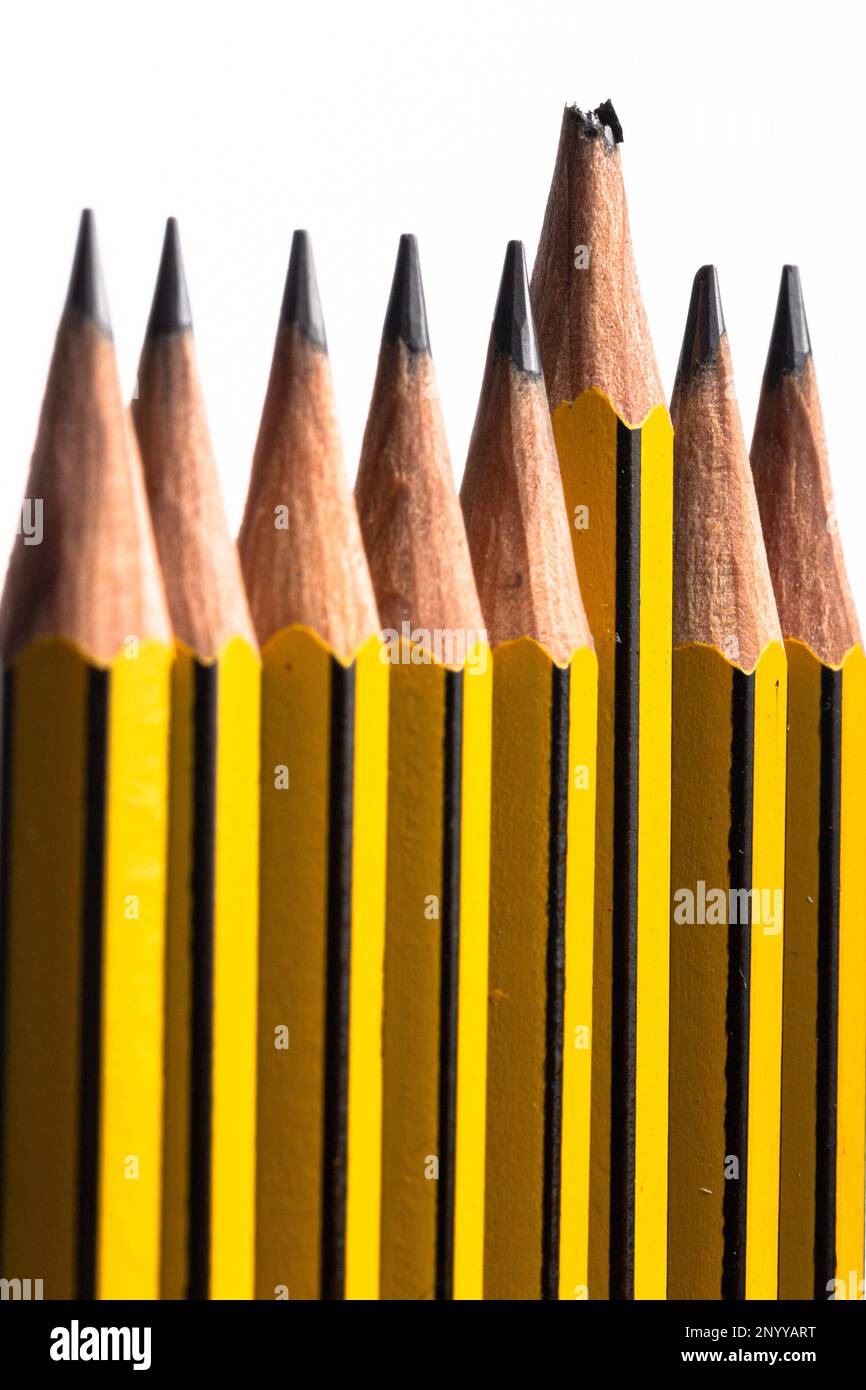 Punctuating Perfection: Broken-tip Pencil Among a Series of Sharp and ...