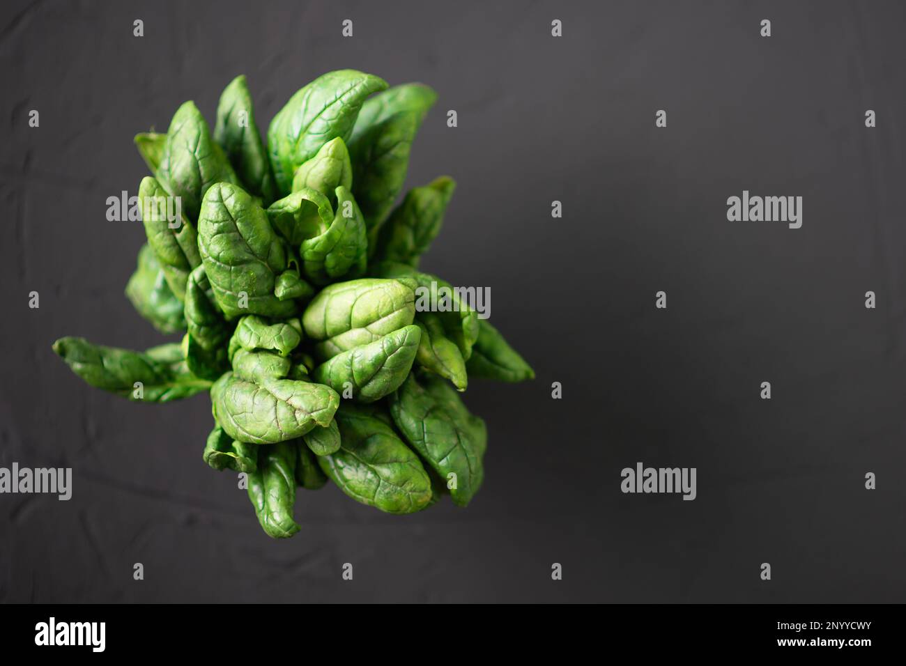 Bunch of fresh spinach. Dark background. Vegetarianism concept Stock ...