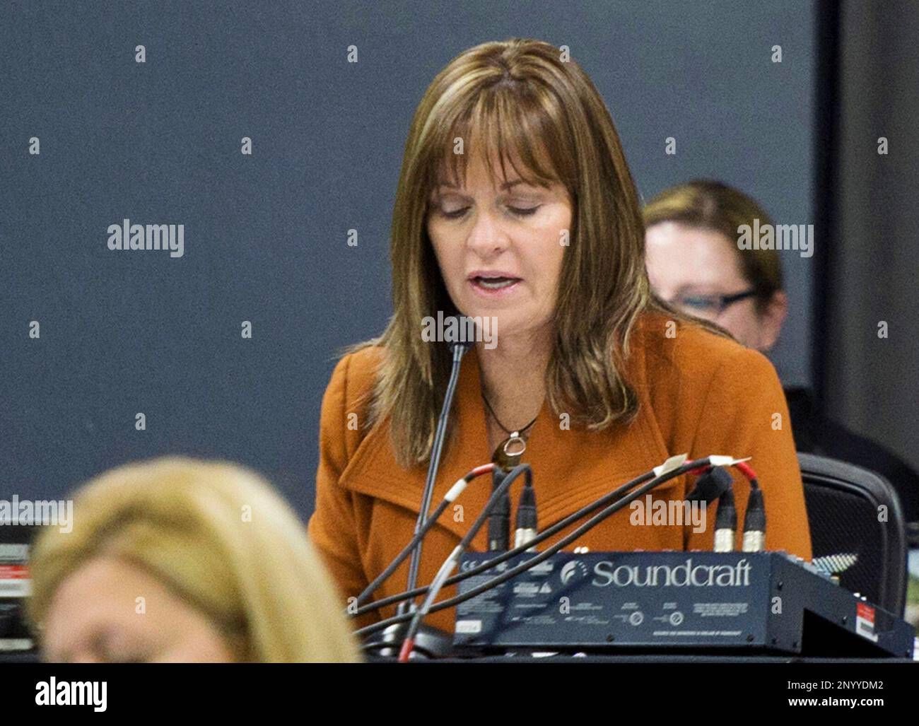 FILE - In this Nov. 15, 2015, file photo, Geri Huser, chairwoman of the ...