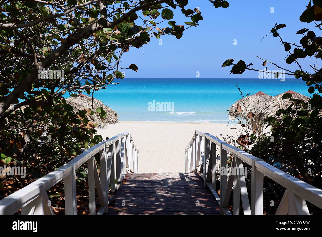 Wooden path to tropical beach with white sand. Picturesque view through ...