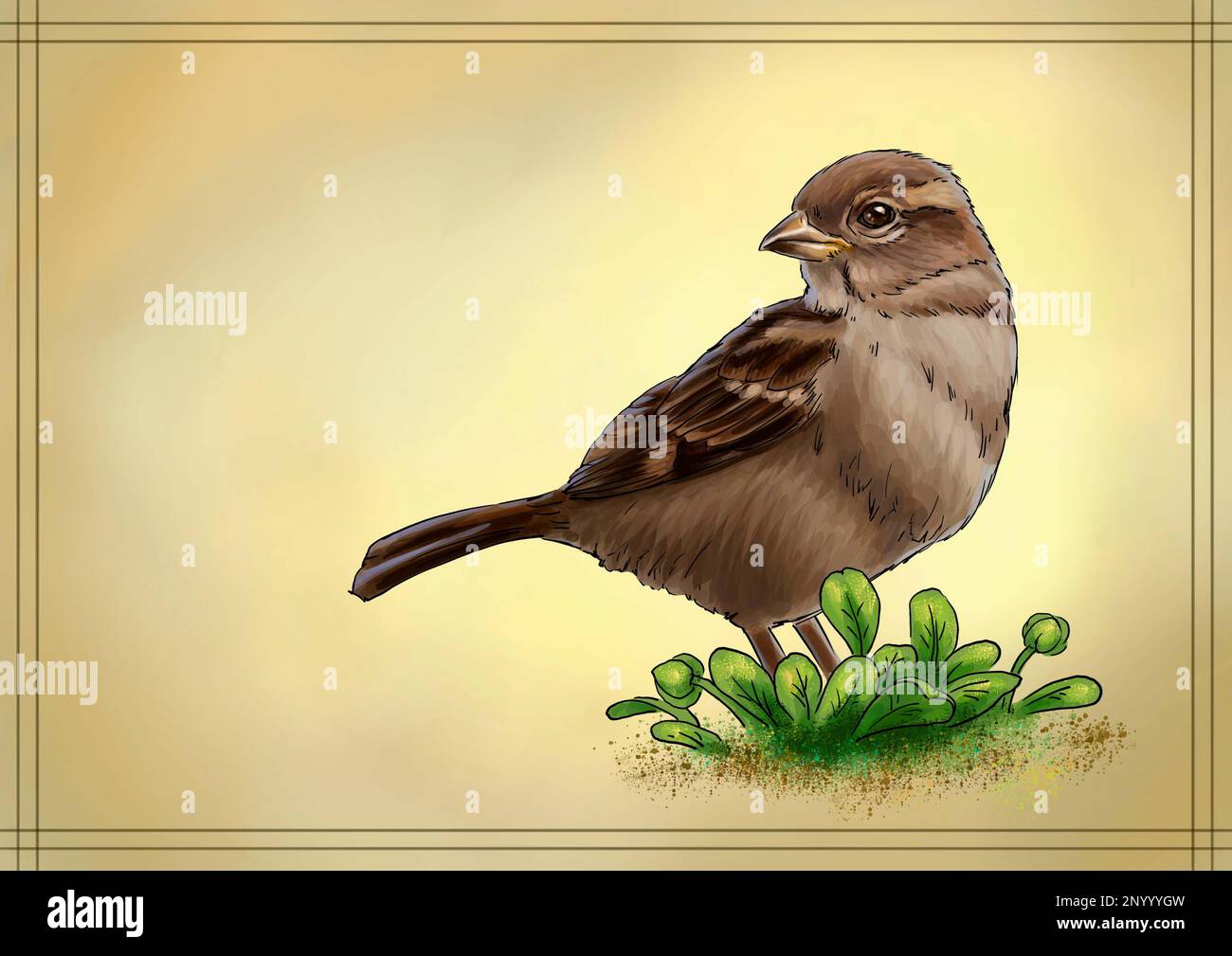 Color illustration of a sparrow on a beige background. High quality ...
