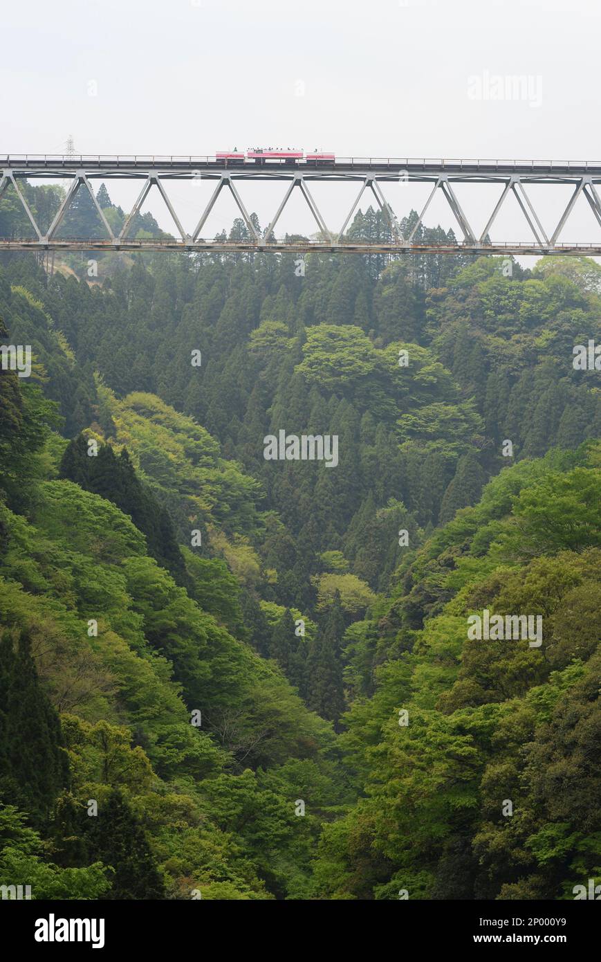 This photo shows a Grand Super Cart of Takachiho Amaterasu Railway at ...