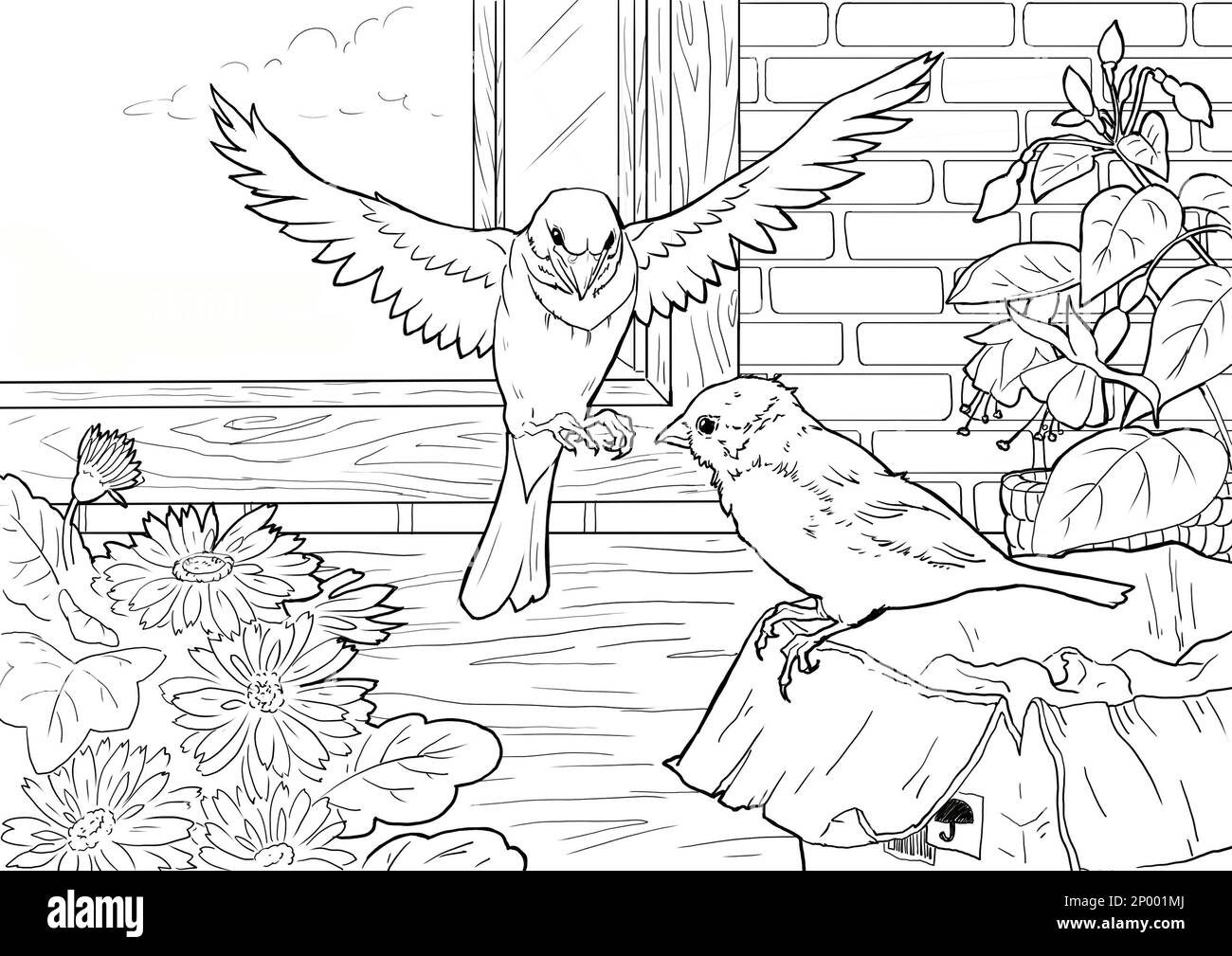 Sparrow's father showed how to fly and they flew away together to their ...