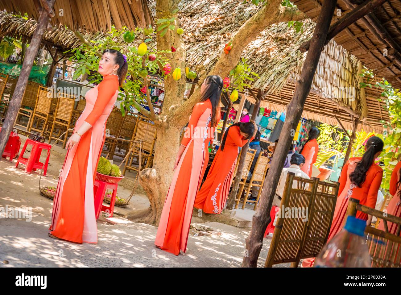 Traditional Don ca tai tu singers singing folk songs on a Mekong Delta ...