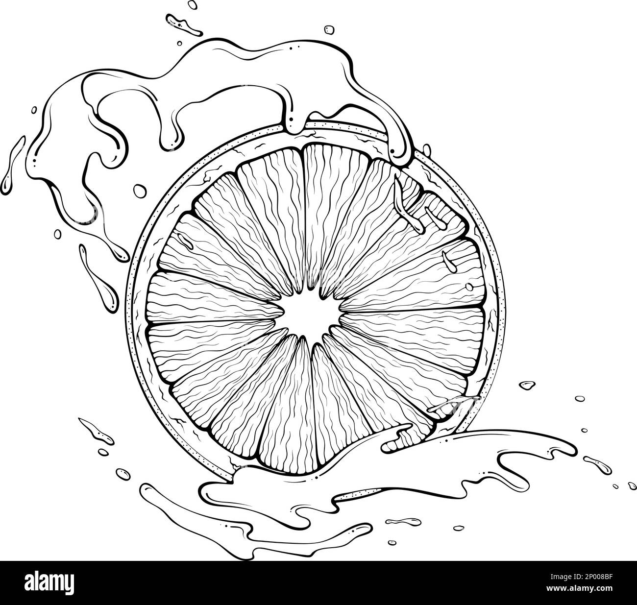 Round orange slice with splash line art Stock Vector Image & Art - Alamy
