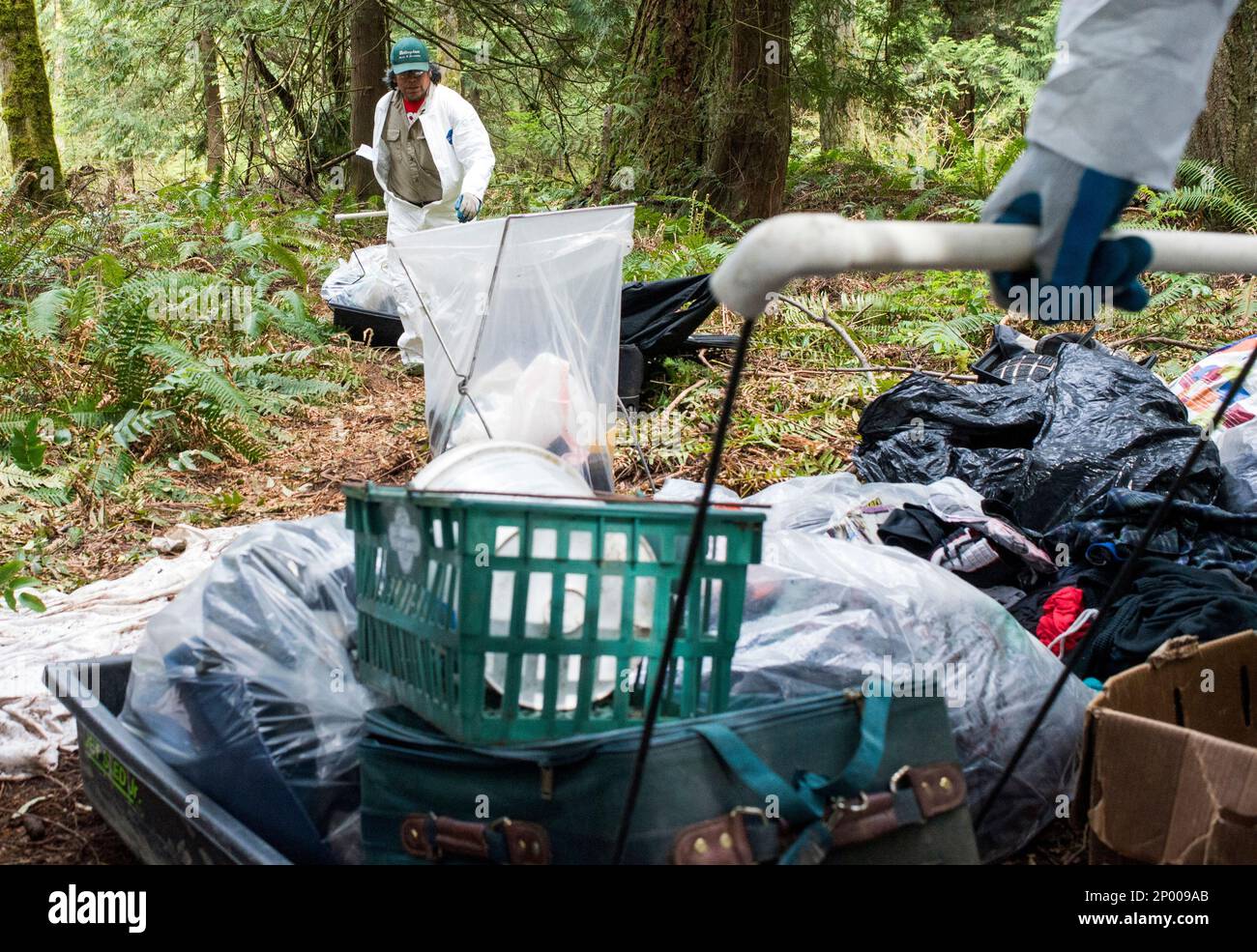 This photo taken Tuesday, April 18, 2017, shows Bellingham Parks and ...